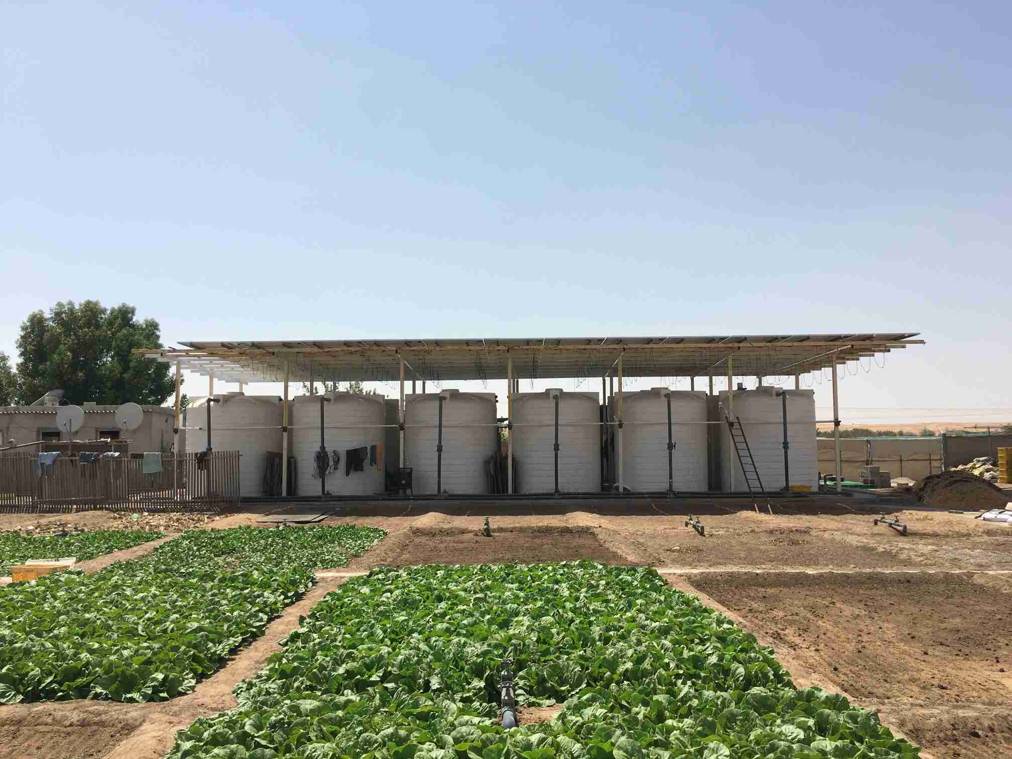 CP-Solar Water Pump System | SolarCtrl